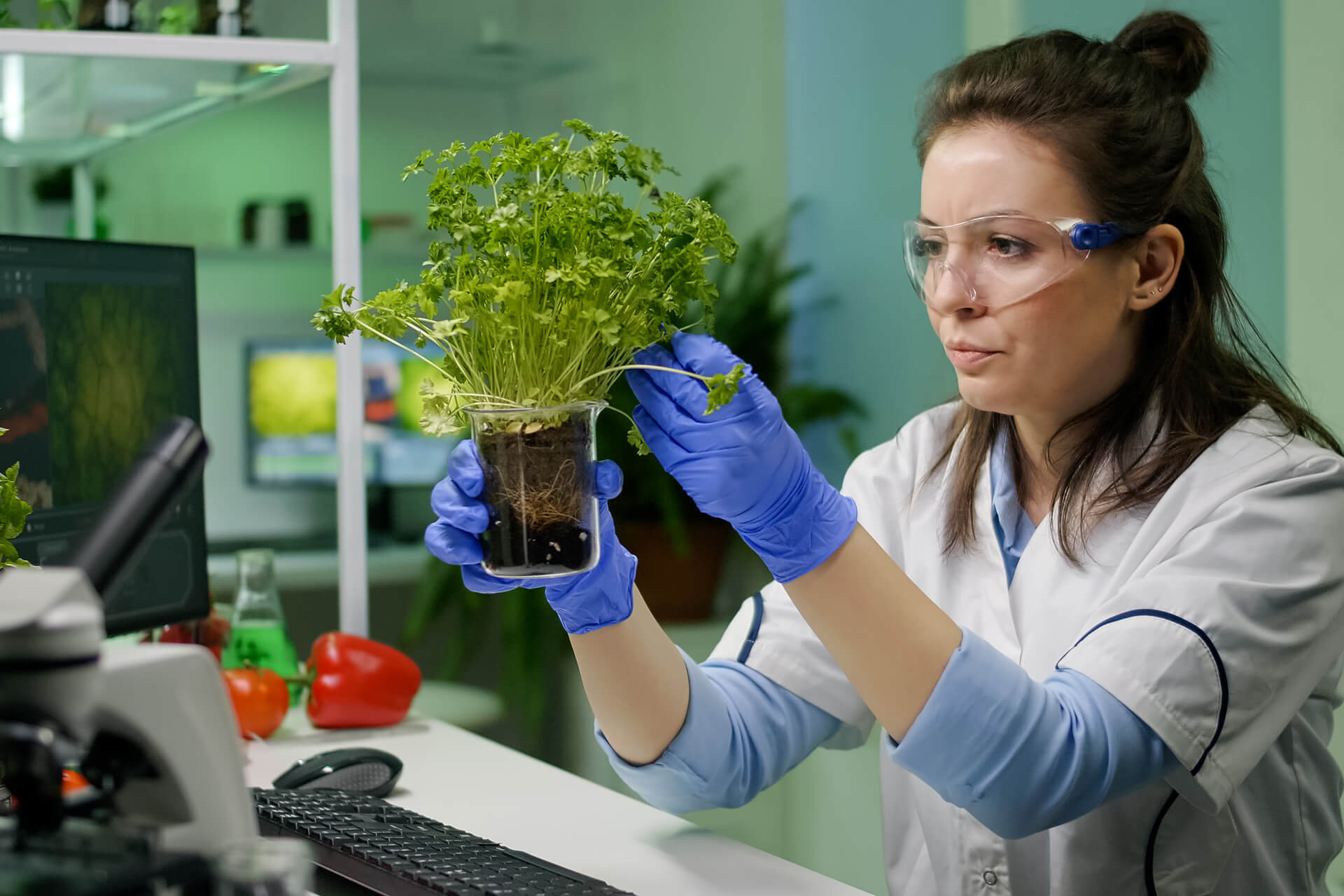 Recommendations for soil sampling for farming – Medical Innovations